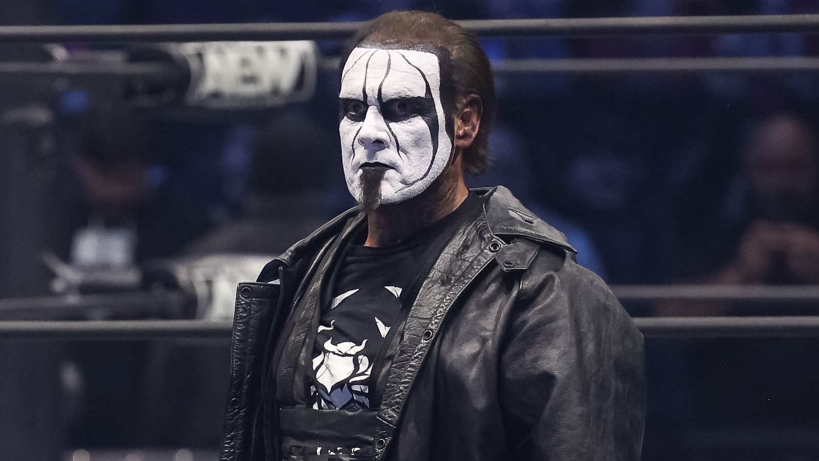 Cosas que todo el mundo se equivoca sobre el Icon Sting