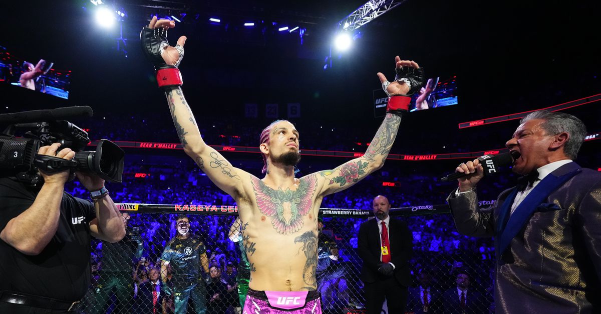 Dana White anuncia la cartelera completa de UFC 306 para Sphere ...