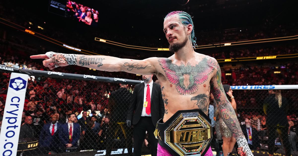 Sean O'Malley busca robarle titulares a Canelo Álvarez con 'nocaut ...