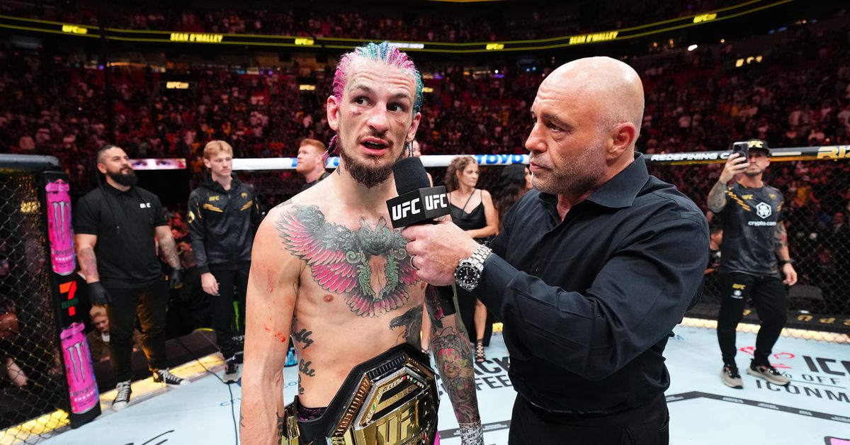 Matt Brown no cree que UFC esté apoyando a Sean O'Malley para que gane ...