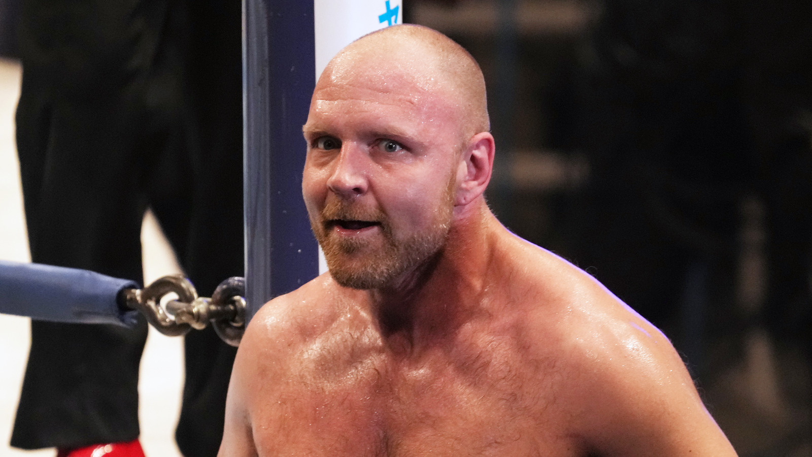 Dave Meltzer comparte una 'fuerte presunción' sobre la lucha por el ...