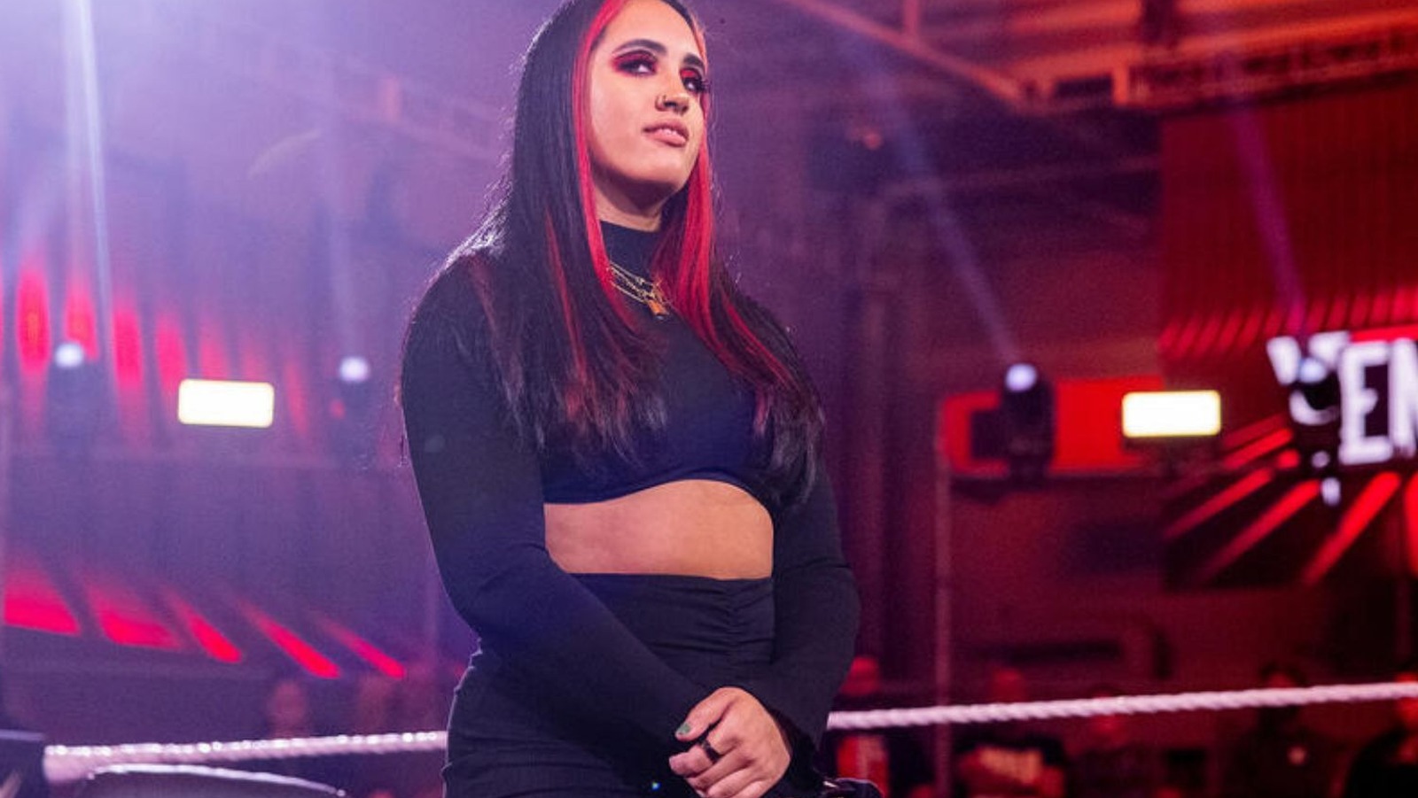 El ex campeón mundial de ECW regresa a WWE NXT durante el anuncio de ...