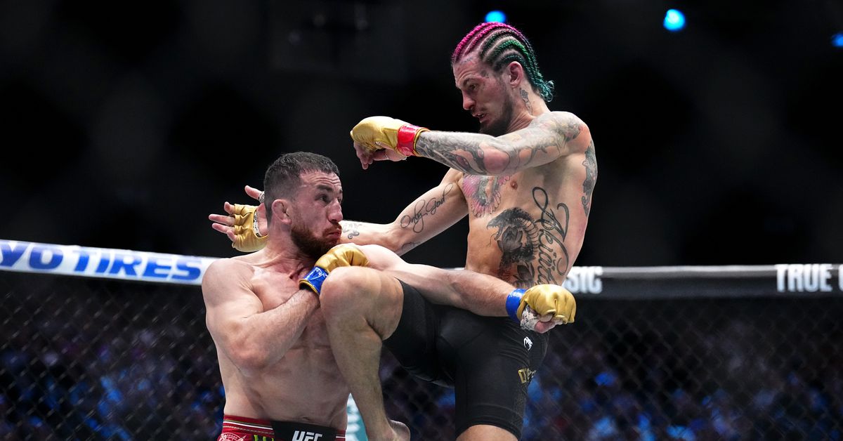 Póster UFC 316 lanzado con un par de partidos de pelea de título