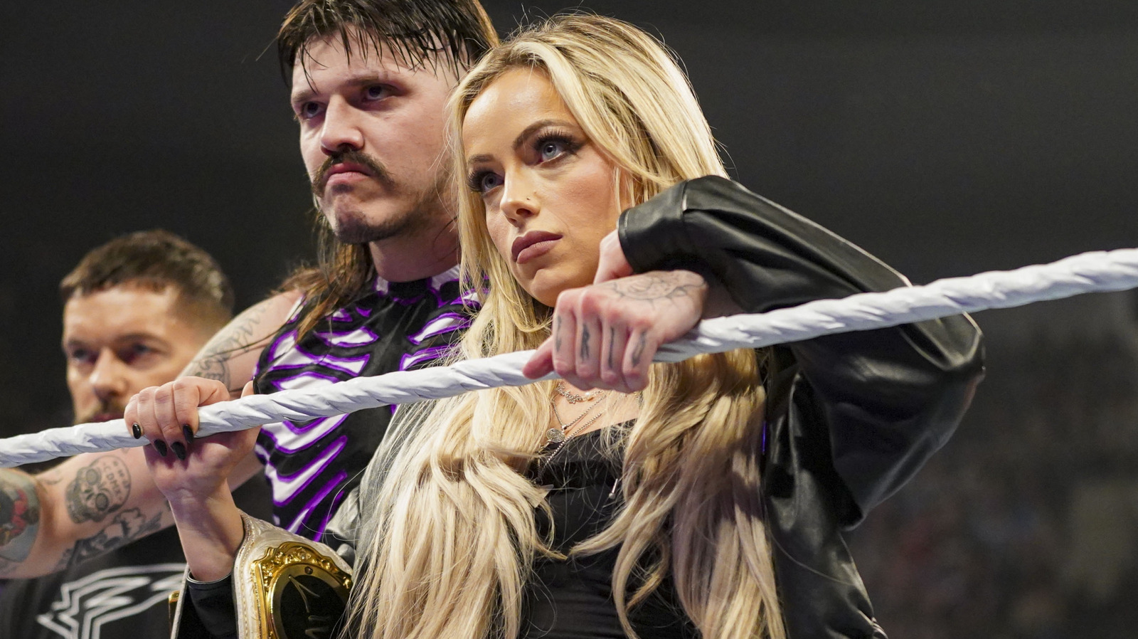 Más detalles sobre el arresto, identidad del acosador acusado de la estrella de la WWE Liv Morgan