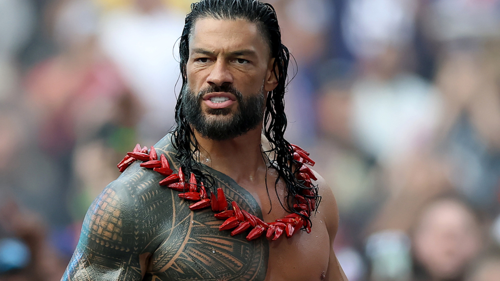 Según los informes, Roman Reigns se establece para el choque de la WWE ...