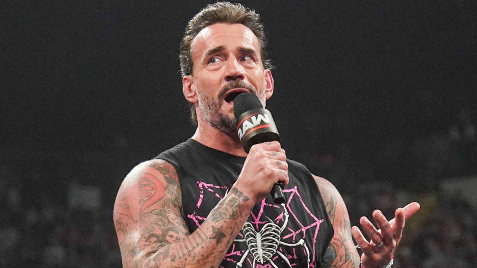 WWE Star CM Punk nombres de lucha libre Rushmore, pero trampa