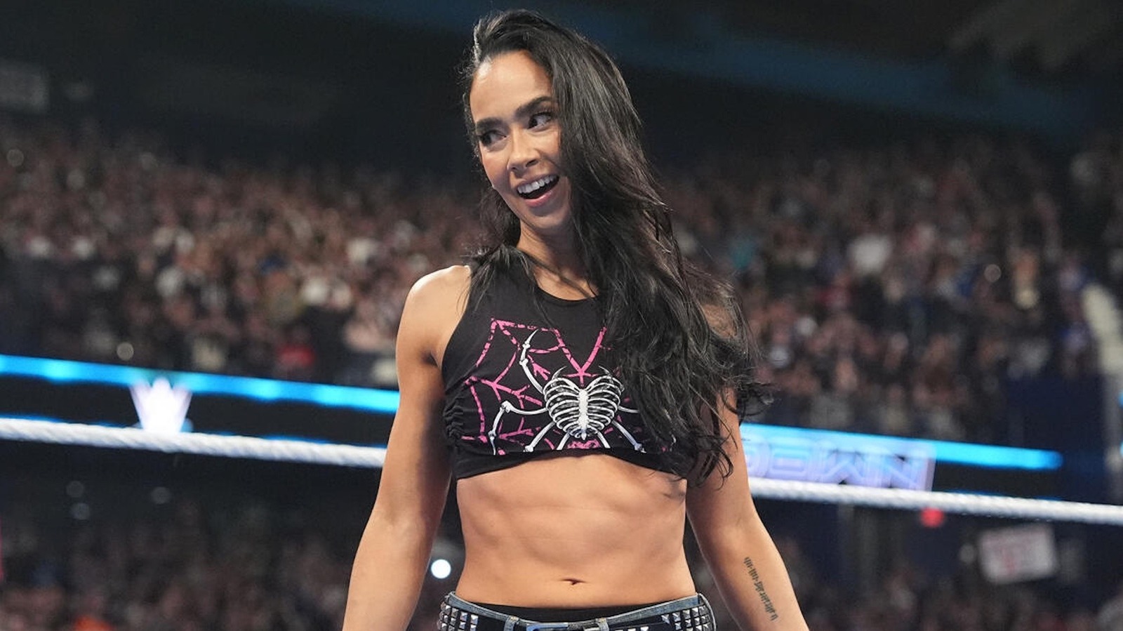 ¿La brutal promoción total de las divas de AJ Lee realmente cambió la división de mujeres de la WWE?